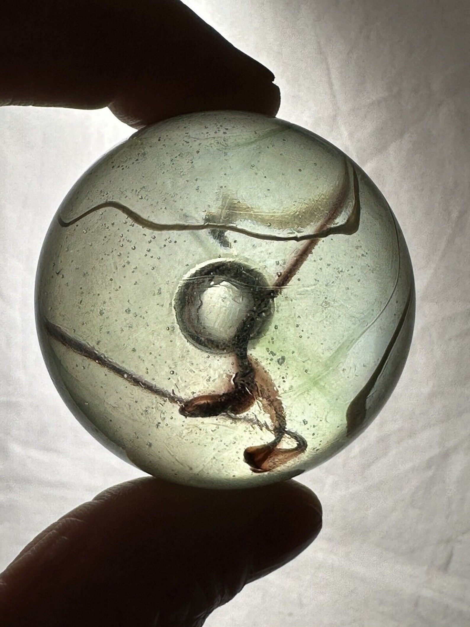Toe Breaker 50mm (2") POLAR BEAR Brown/white Glass Marble - Etsy