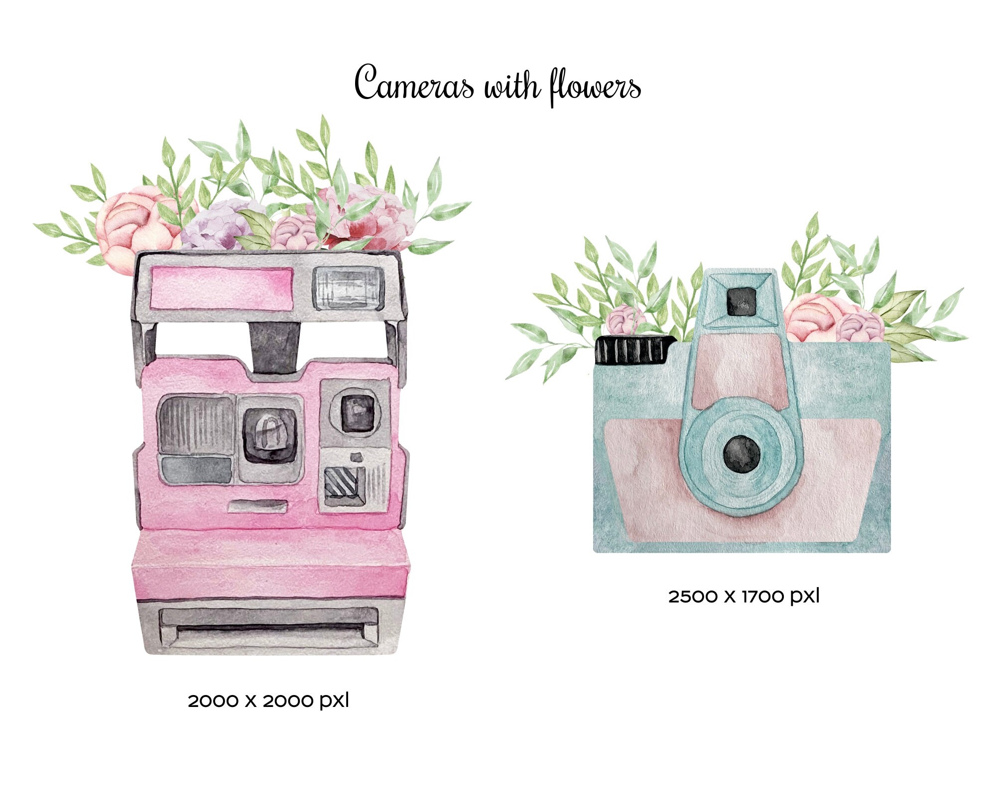 Watercolor Camera With Flowers Clipart. Floral Retro Camera PNG ...
