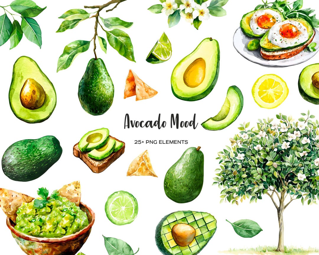 Watercolor Avocado Clipart: Fruit, Tree & Dishes (PNG Digital Download ...