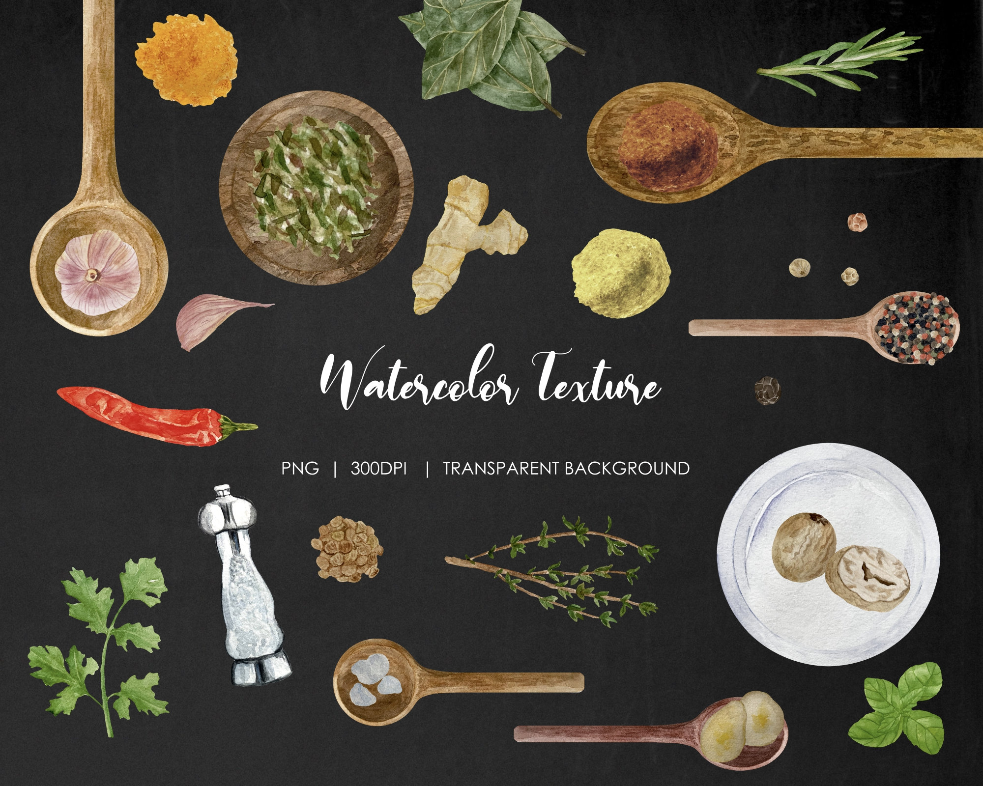 Watercolor Herbs and Spices Clipart: Kitchen Culinary Illustration (PNG ...