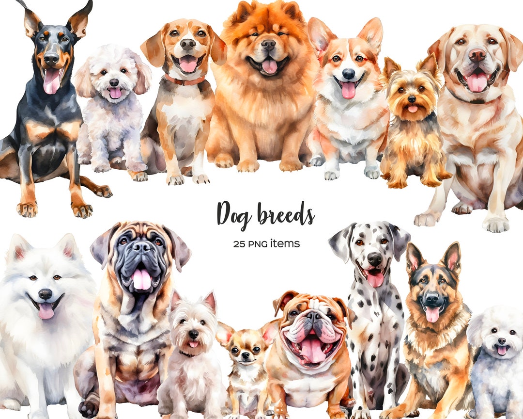 Watercolor Dog Breeds Clipart: 25 PNG Dog Graphics (digital Download ...