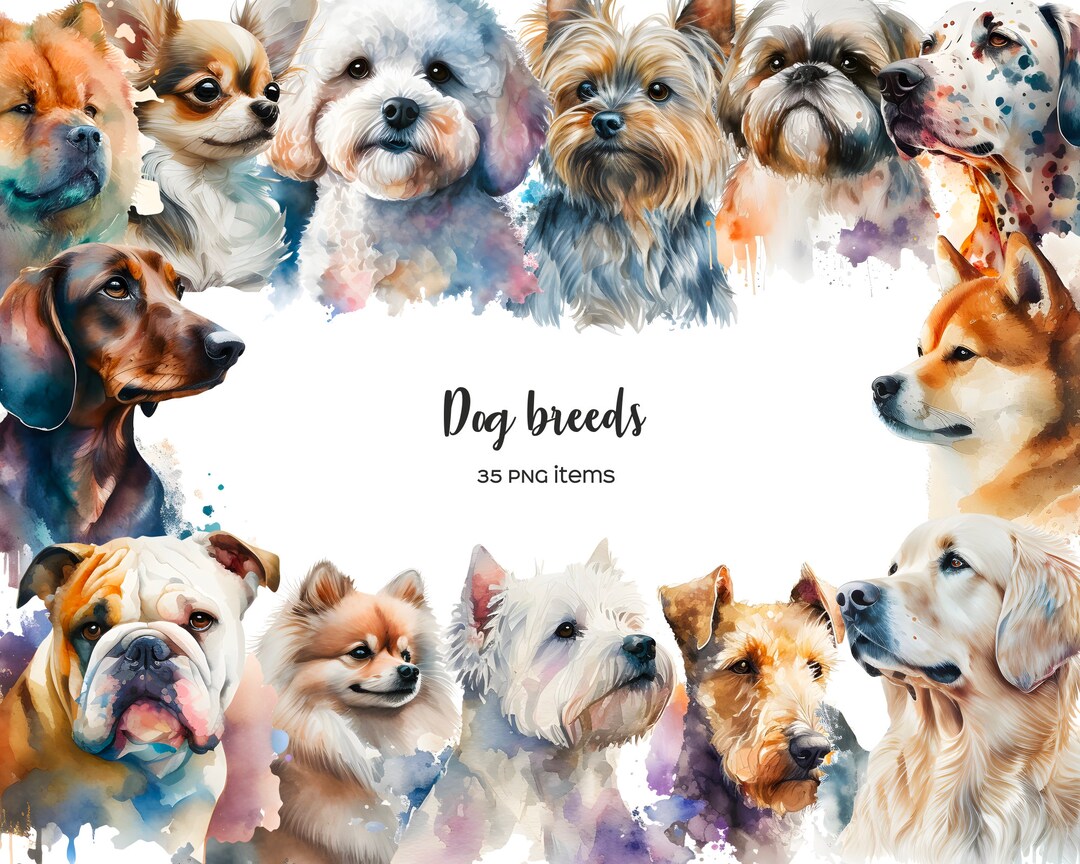 Watercolor Dog Breeds Clipart. Dogs Clip Art. Dog Types 35 PNG. Dog ...