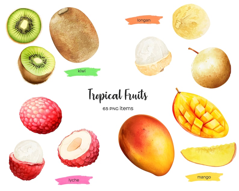 Watercolor Tropical Fruit Clipart: Exotic Food PNG Set (64 Items ...