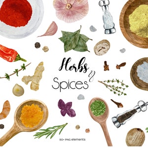 Watercolor Herbs and Spices Clipart. Dried and Fresh Kitchen Culinary ...