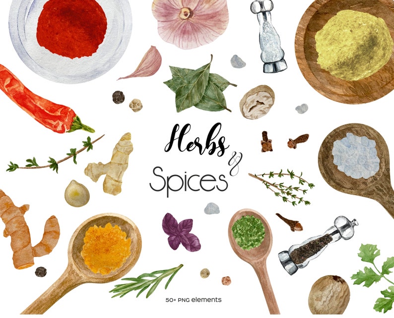 Watercolor Herbs and Spices Clipart: Kitchen Culinary Illustration (PNG ...