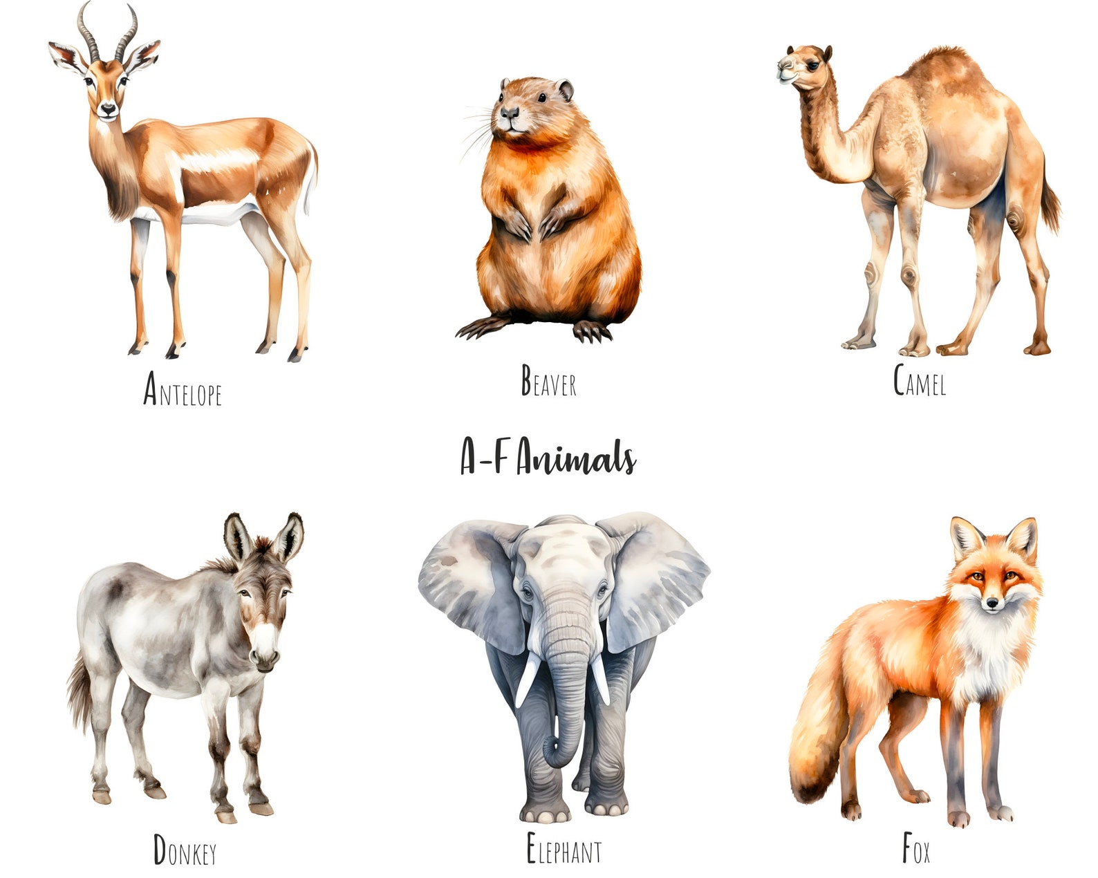 Watercolor Alphabet Animals Clipart: A-Z Zoo PNG (digital Download) - Etsy