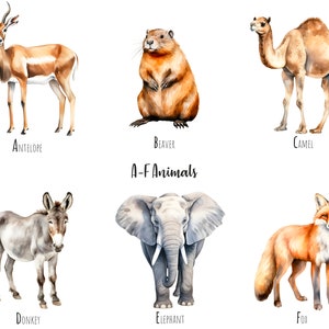 Watercolor Alphabet Animals Clipart: A-Z Zoo PNG (digital Download) - Etsy