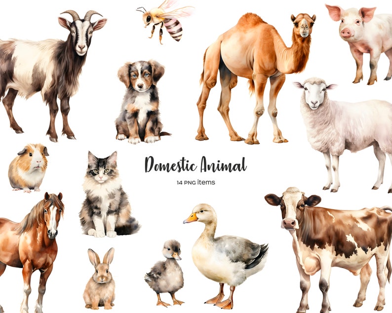 Watercolor Farm Animal Clipart: 14 PNG Set (digital Download) - Etsy