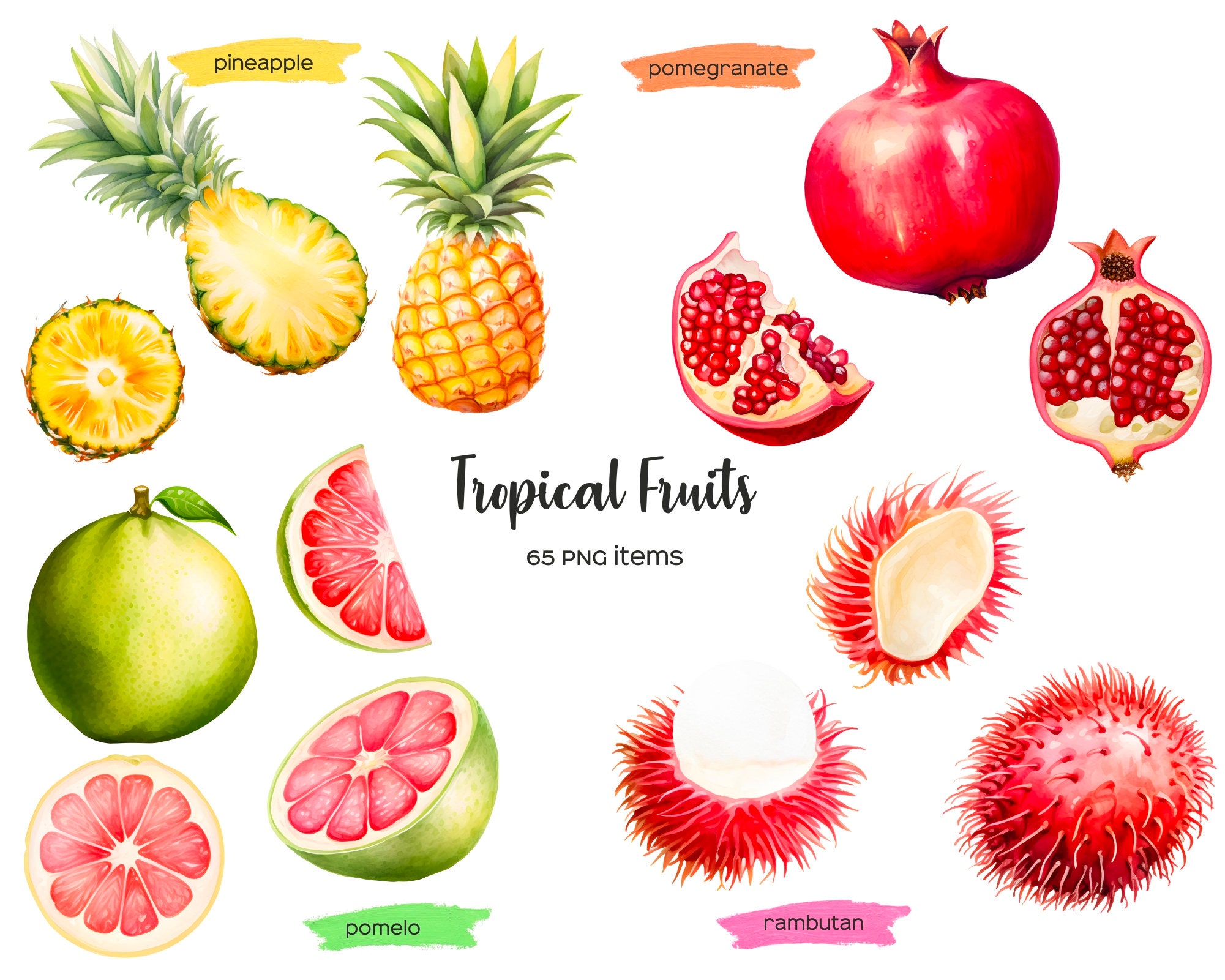 Watercolor Tropical Fruit Clipart: Exotic Food PNG Set (64 Items ...