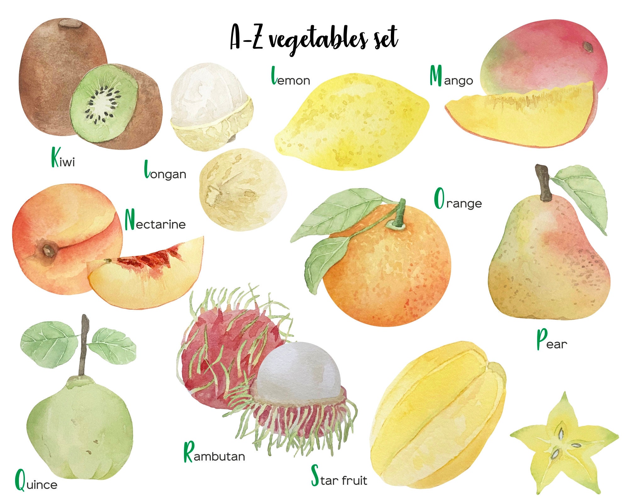 Watercolor A-Z Fruits Clipart. Veggies Watercolor. Full Alphabet Fruits ...