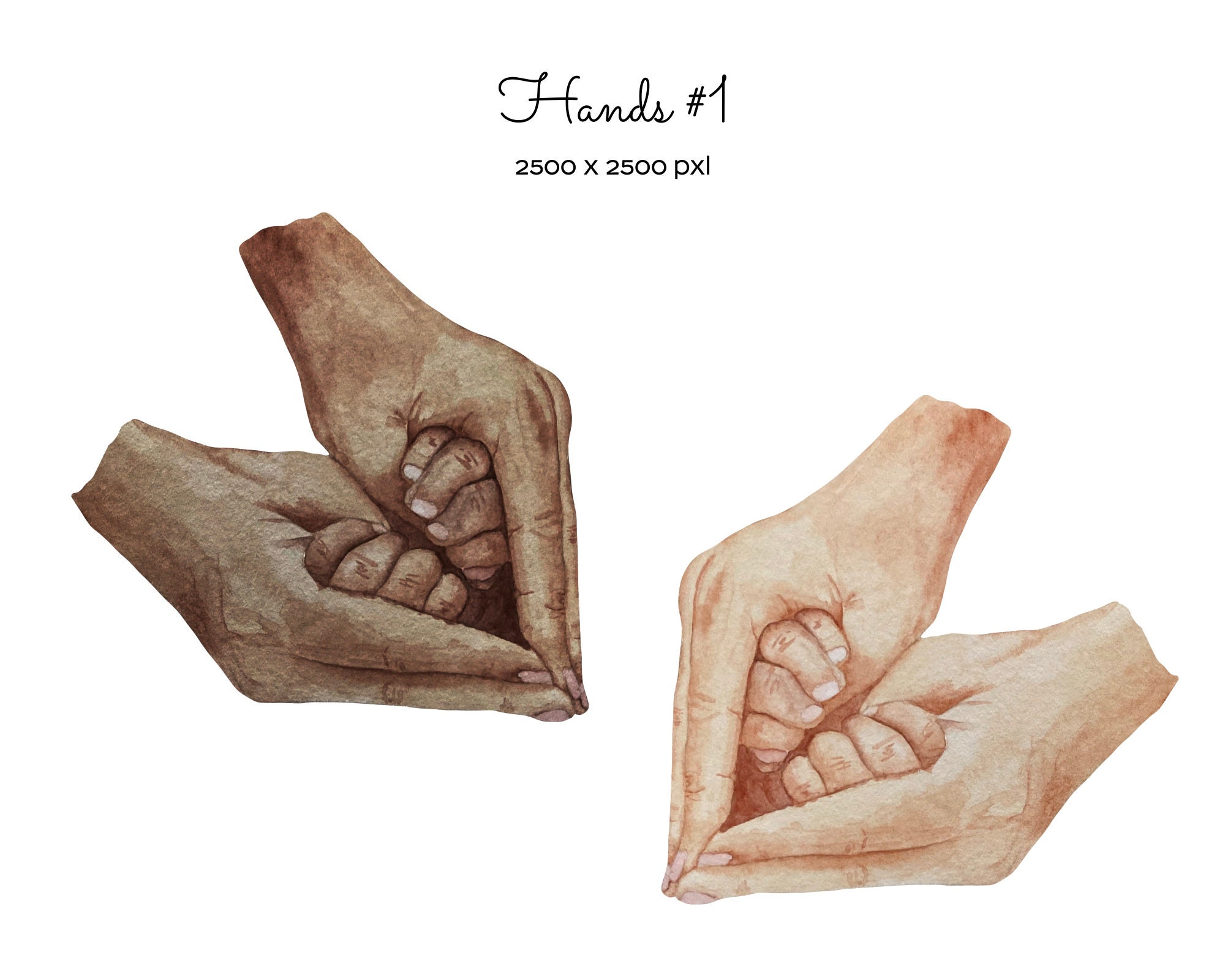 Watercolor Family Hands Clipart. Family Holding Hands in Hands. New ...