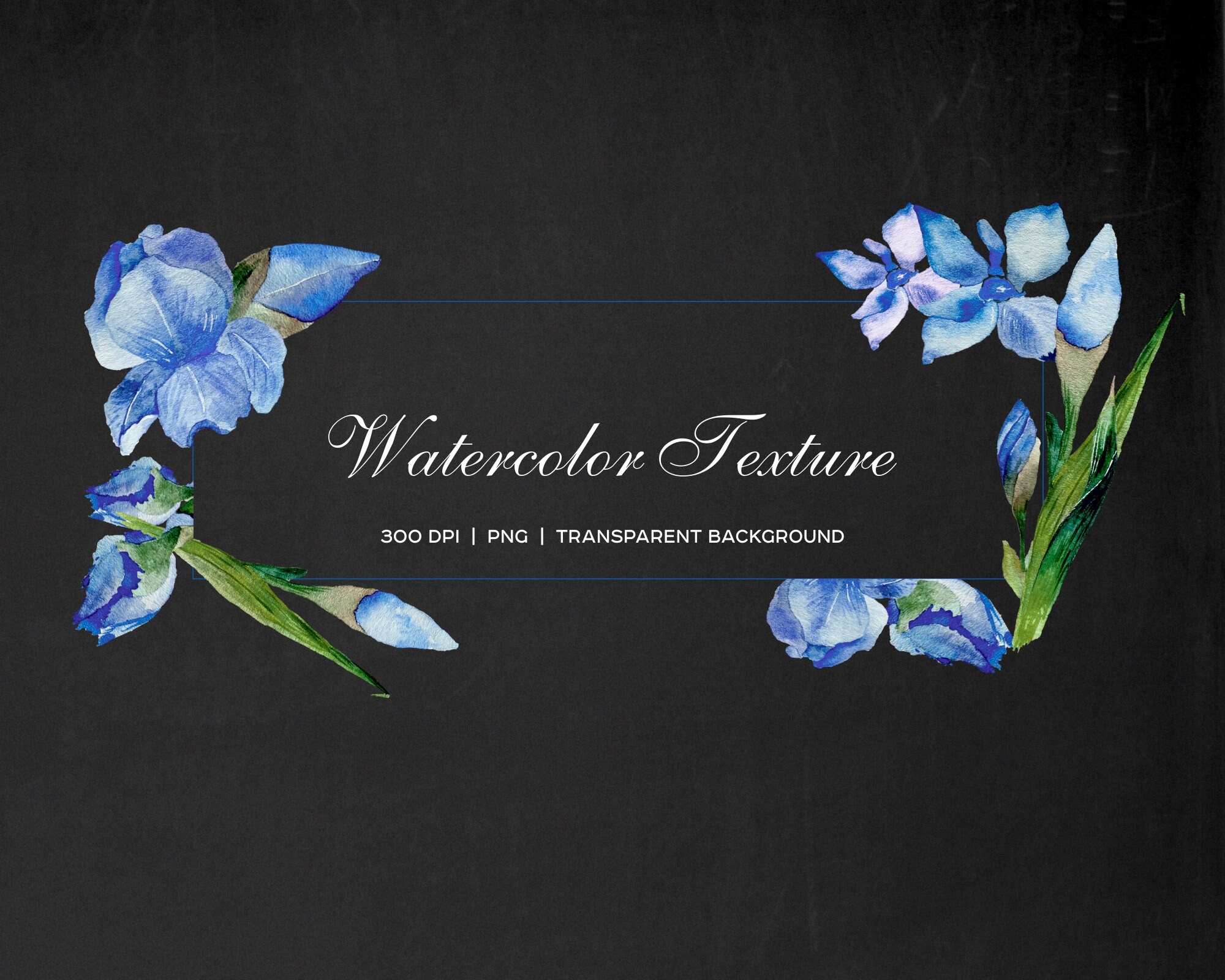 Watercolor Blue Iris Flowers Clipart. Irises Blossom and Branches PNG ...