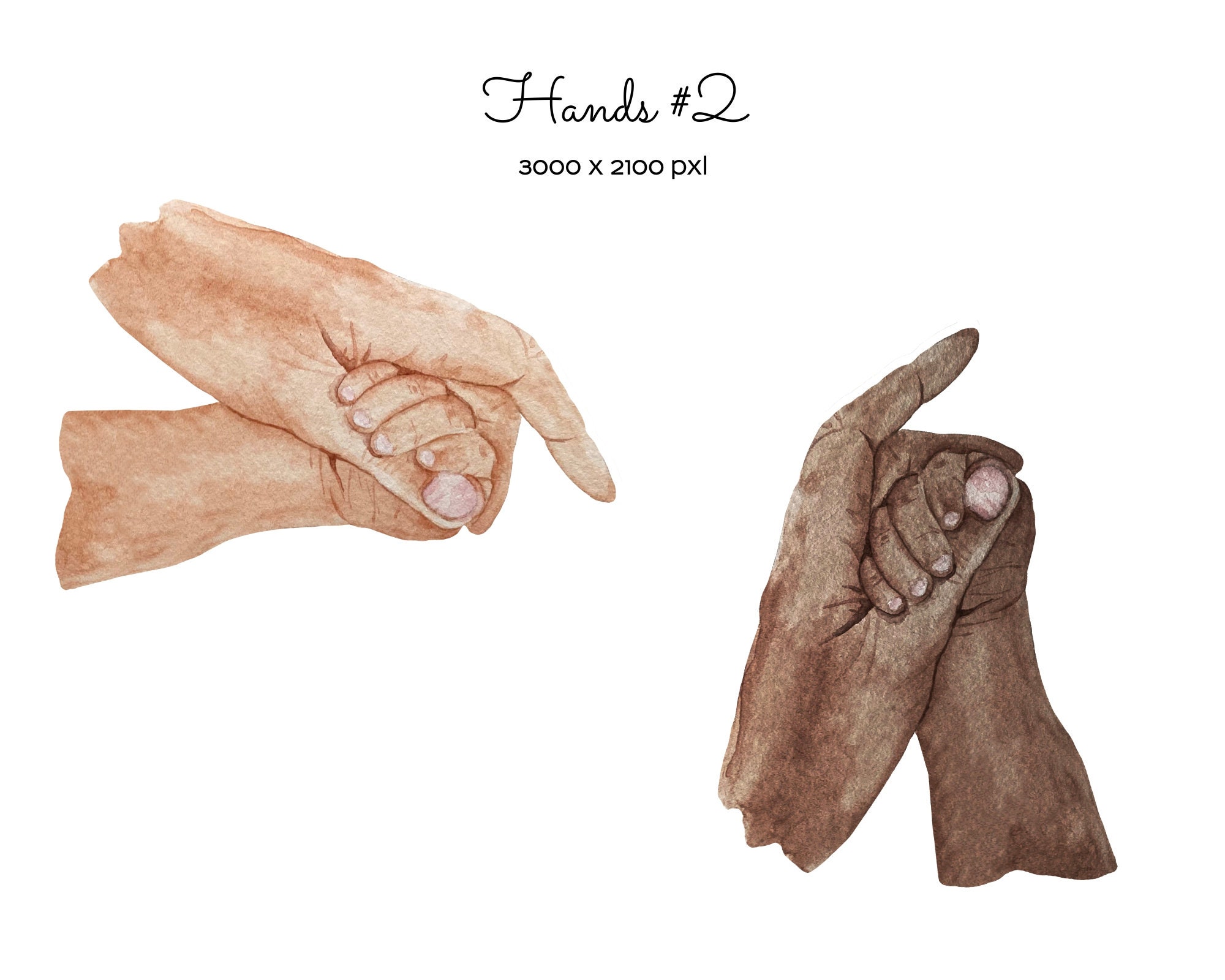 Watercolor Family Hands Clipart. Family Holding Hands in Hands. New ...