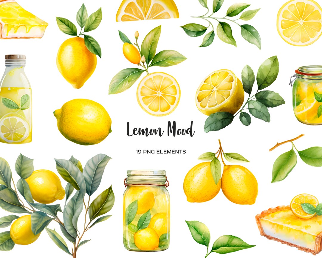 Watercolor Lemon Clipart: Fruits, Leaves, Desserts (19 PNG) - Etsy