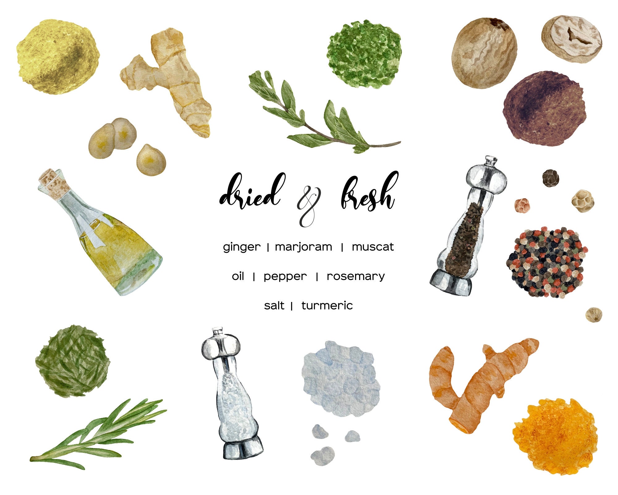Watercolor Herbs and Spices Clipart: Kitchen Culinary Illustration (PNG ...