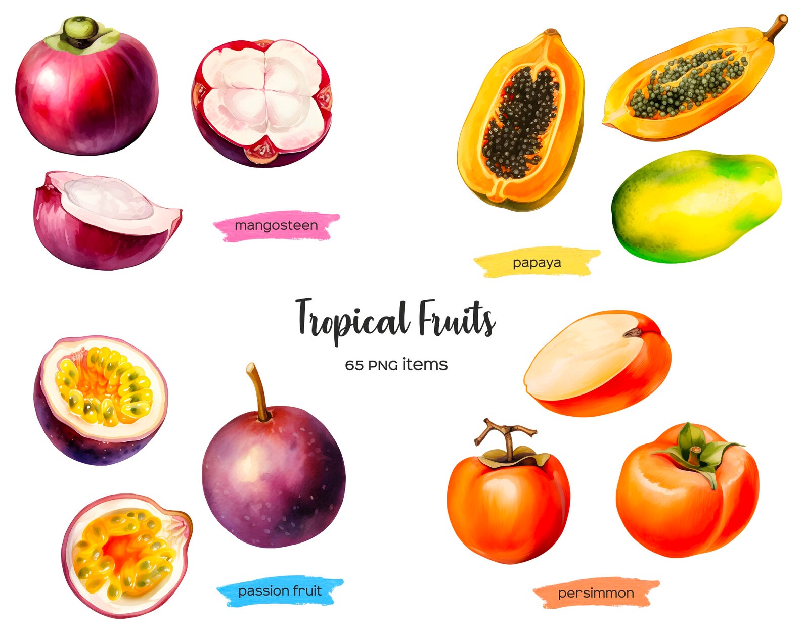 Watercolor Tropical Fruit Clipart: Exotic Food PNG Set (64 Items ...