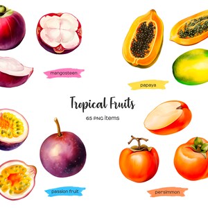 Watercolor Tropical Fruit Clipart: Exotic Food PNG Set (64 Items ...