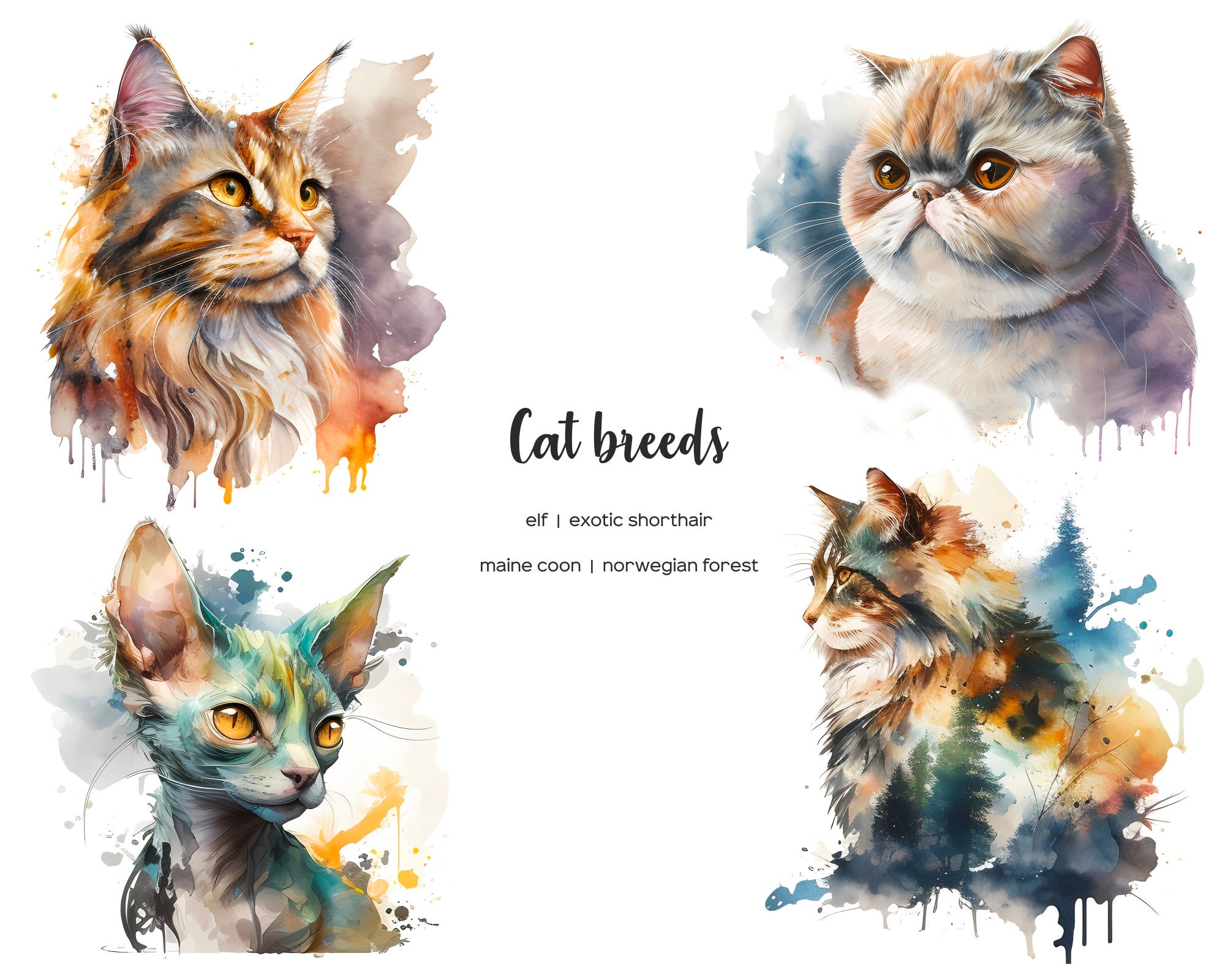 Watercolor Cat Breeds Clipart. Cats Clip Art. Cat Types 22 PNG. Cat ...