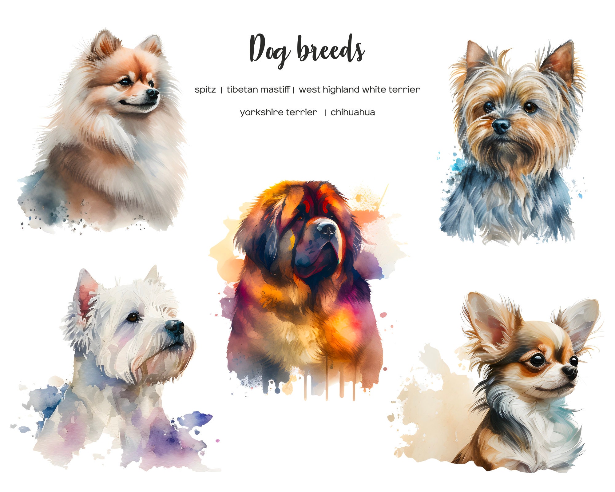 Watercolor Dog Breeds Clipart. Dogs Clip Art. Dog Types 35 - Etsy UK