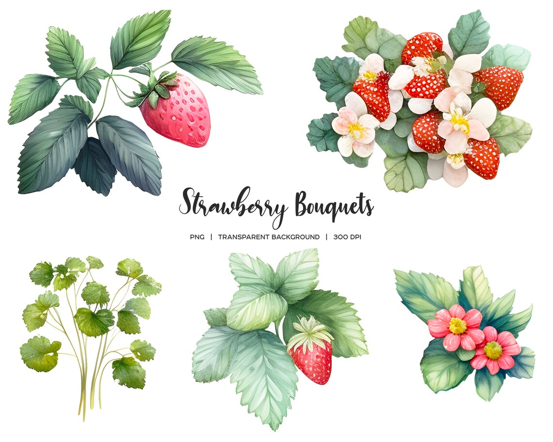 Watercolor Strawberry Clipart. Strawberries and Leaves Clip Art ...