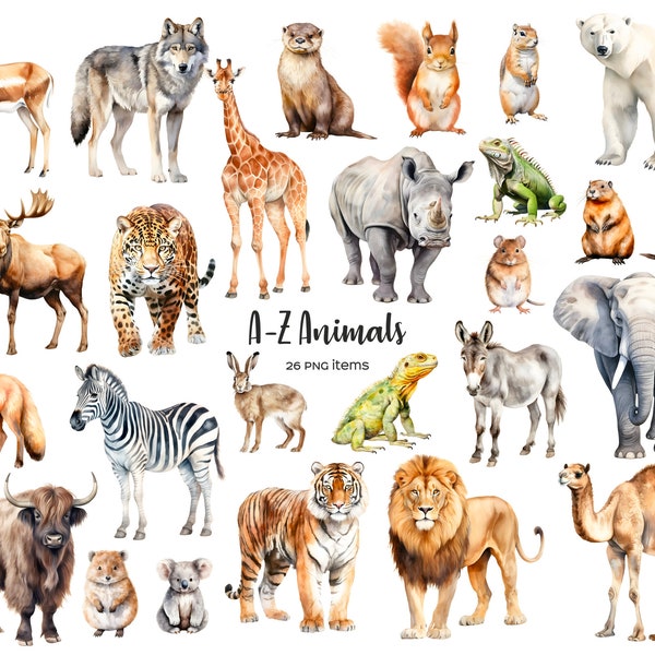 Zoo Clipart - Etsy