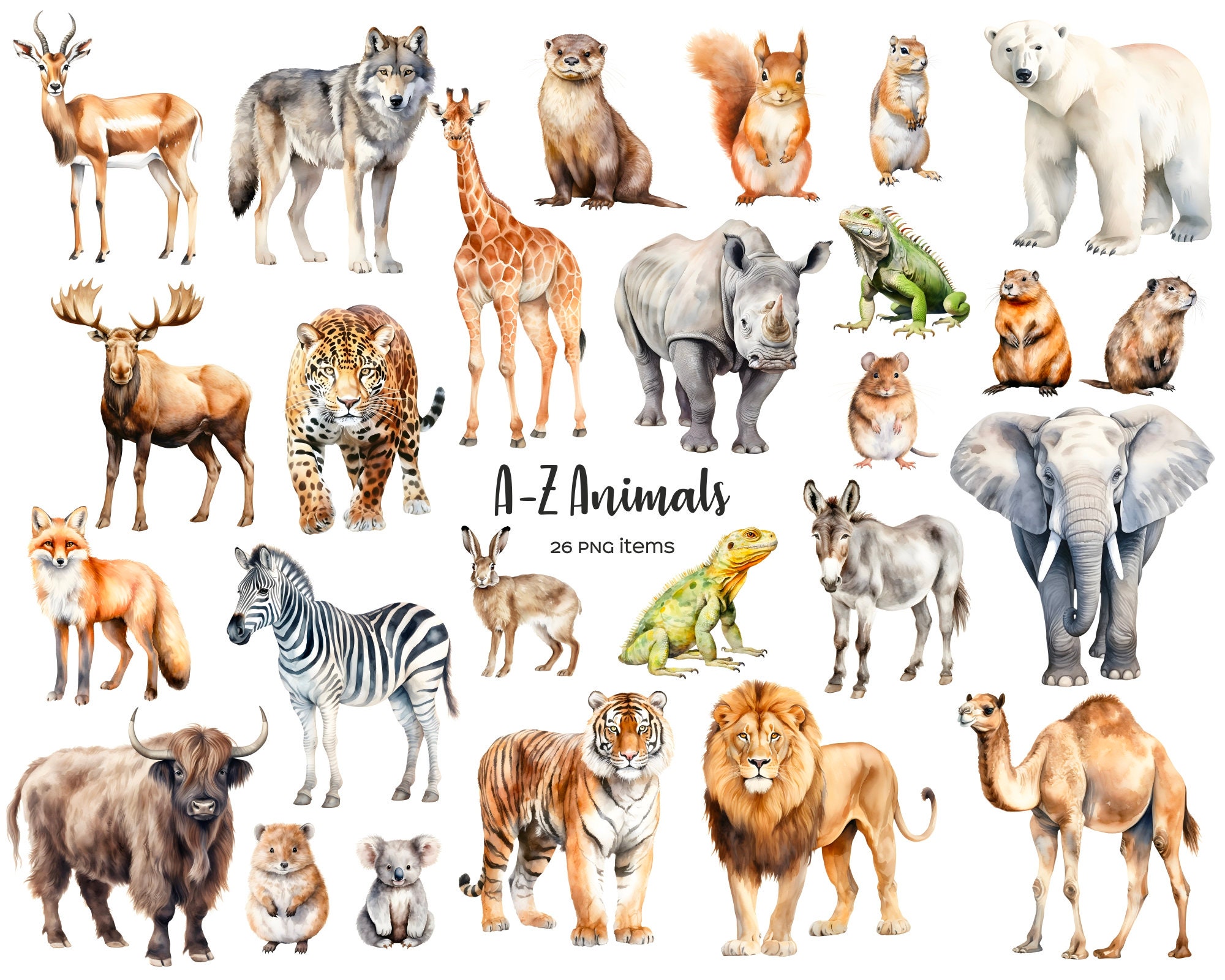 Watercolor Alphabet Animals Clipart: A-Z Zoo PNG (digital Download) - Etsy