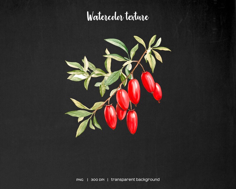 Watercolor Berries Clipart. Wild Berry Clip Art. Watercolor Strawberry ...