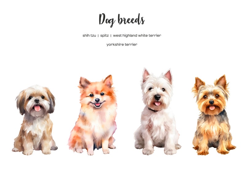 Watercolor Dog Breeds Clipart: 25 PNG Dog Graphics (digital Download ...