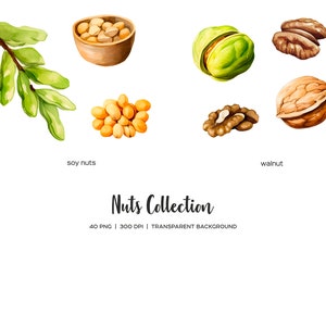Watercolor Nuts Clipart: Vegan Food PNG Bundle (40 Items) - Etsy