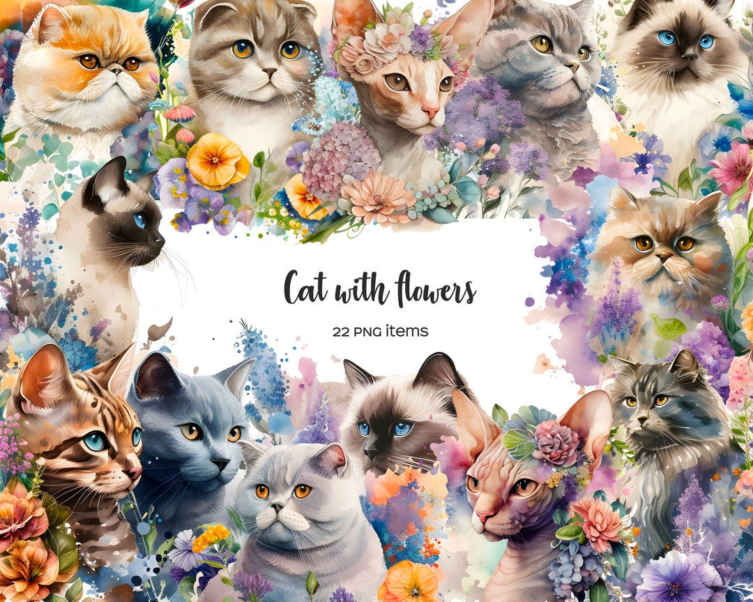 Watercolor Cat Breeds Clipart: Cats With Flowers (21 PNG) - Etsy