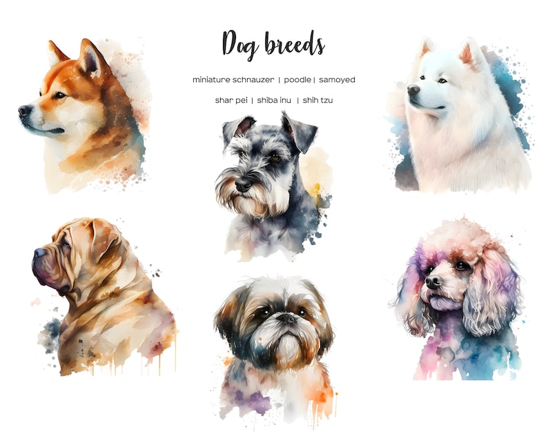 Watercolor Dog Breeds Clipart. Dogs Clip Art. Dog Types 35 - Etsy