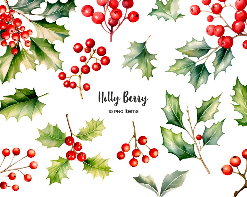 Watercolor Christmas Holly Berry Clipart: 15 PNG Set (digital Download ...