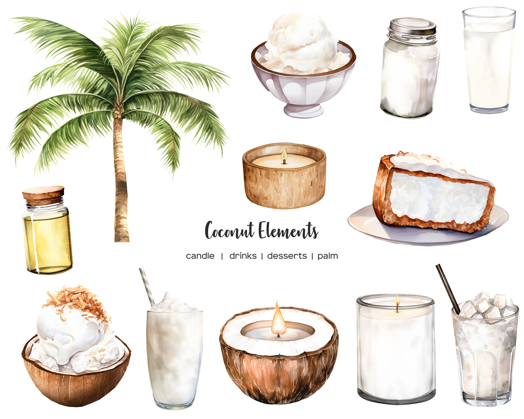 Watercolor Coconut Clipart: Tropical Fruit PNG Set (24 Items) - Etsy
