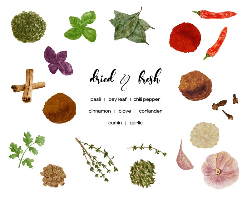 Watercolor Herbs and Spices Clipart. Dried and Fresh Kitchen Culinary ...