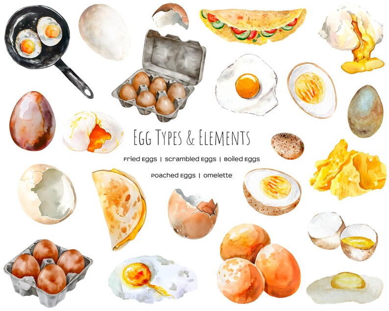 Watercolor Eggs Clipart. Types of Eggs. Watercolor Breakfast 36 PNG ...