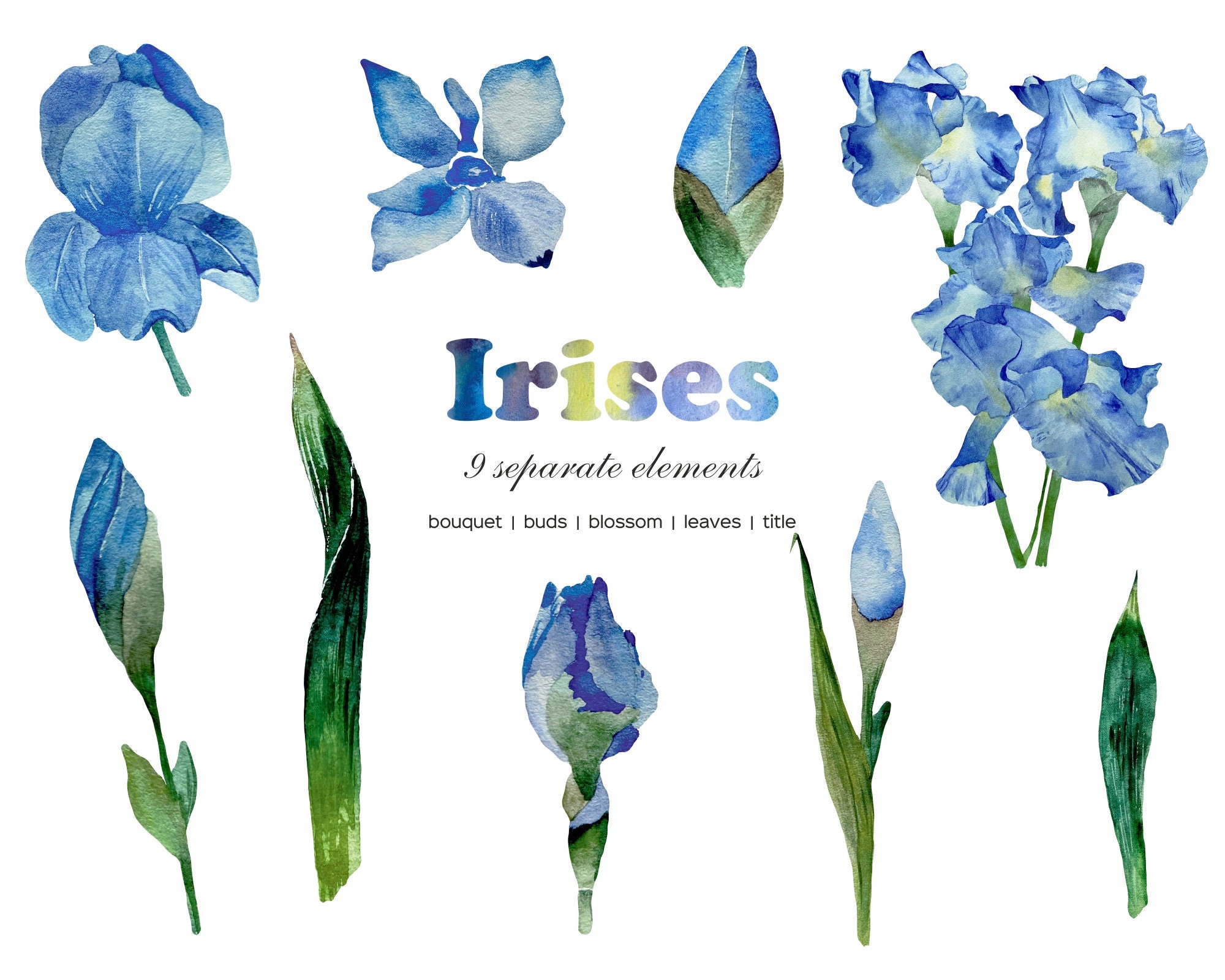 Watercolor Blue Iris Flowers Clipart. Irises Blossom and Branches PNG ...