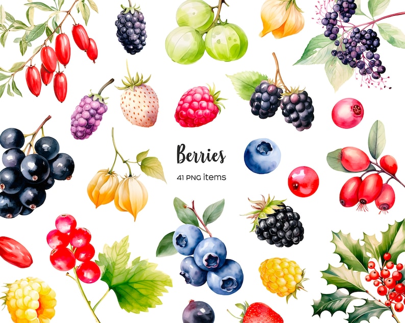 Watercolor Berries Clipart. Wild Berry Clip Art. Watercolor Strawberry ...