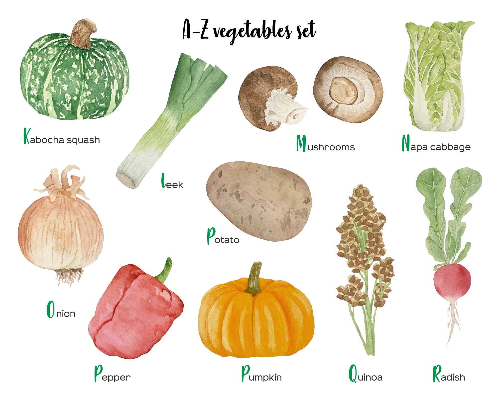 Watercolor Vegetable Clipart A-Z: Veggies Alphabet (PNG Digital ...
