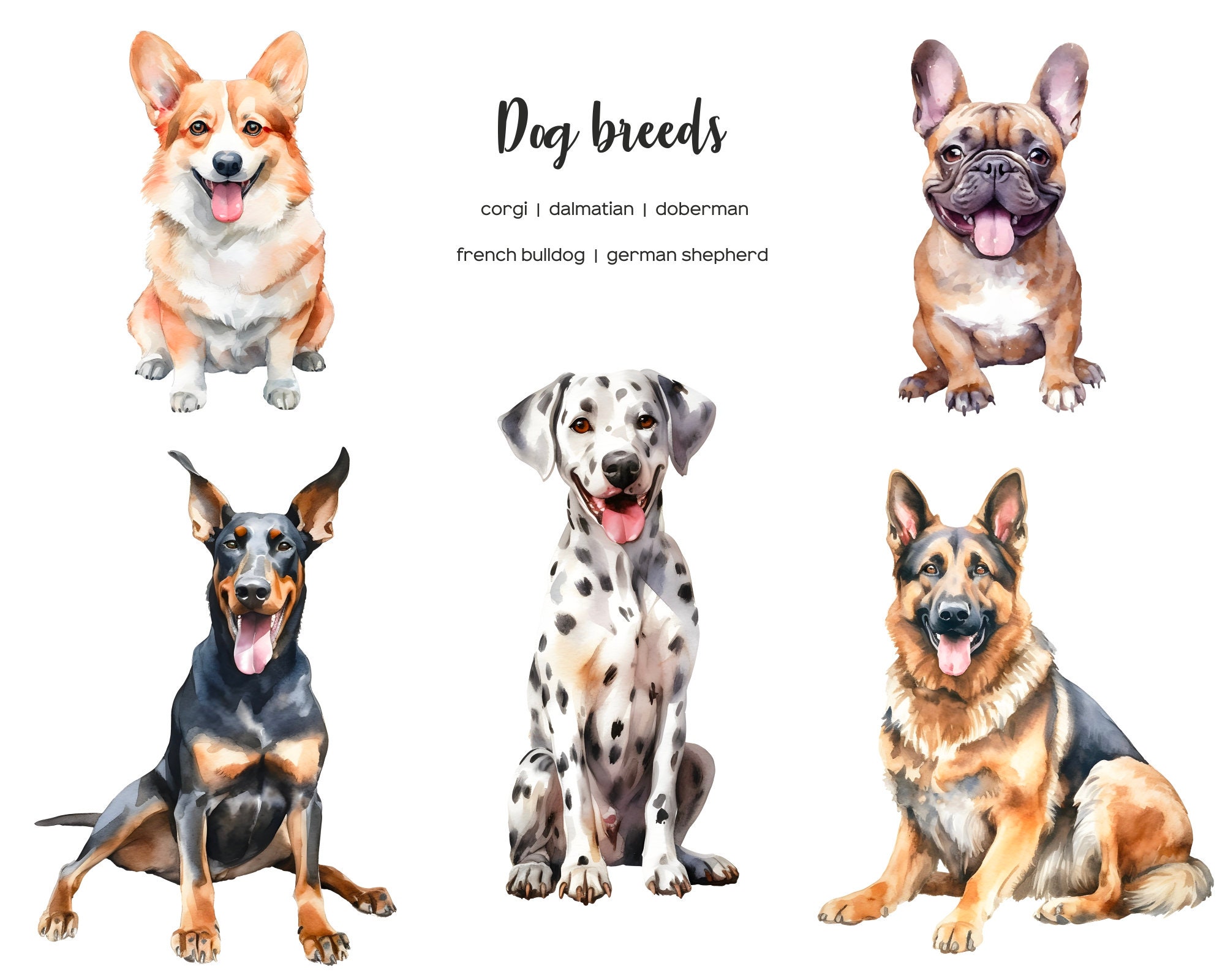 Watercolor Dog Breeds Clipart: 25 PNG Dog Graphics (digital Download ...