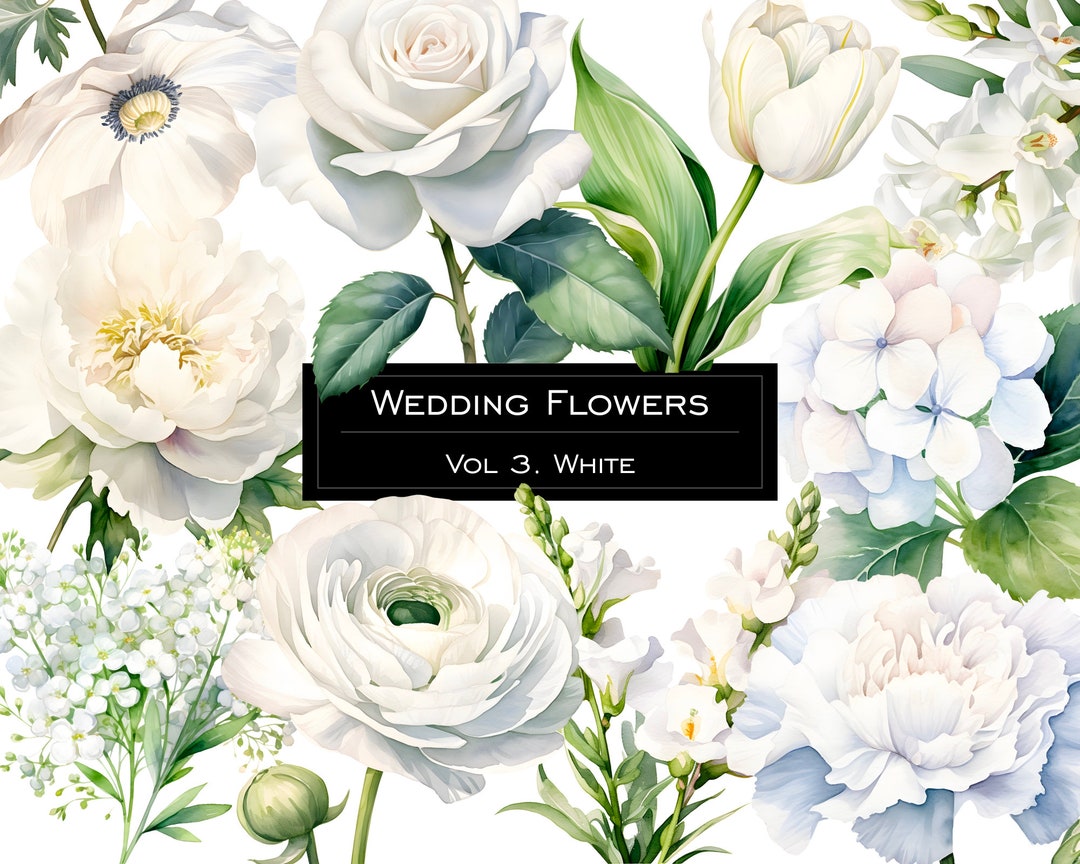 Watercolor White Wedding Flower Clipart: Pastel Floral PNG Set (digital ...