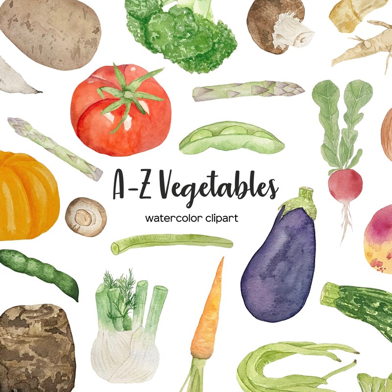 Vegetable Clip Art - Etsy