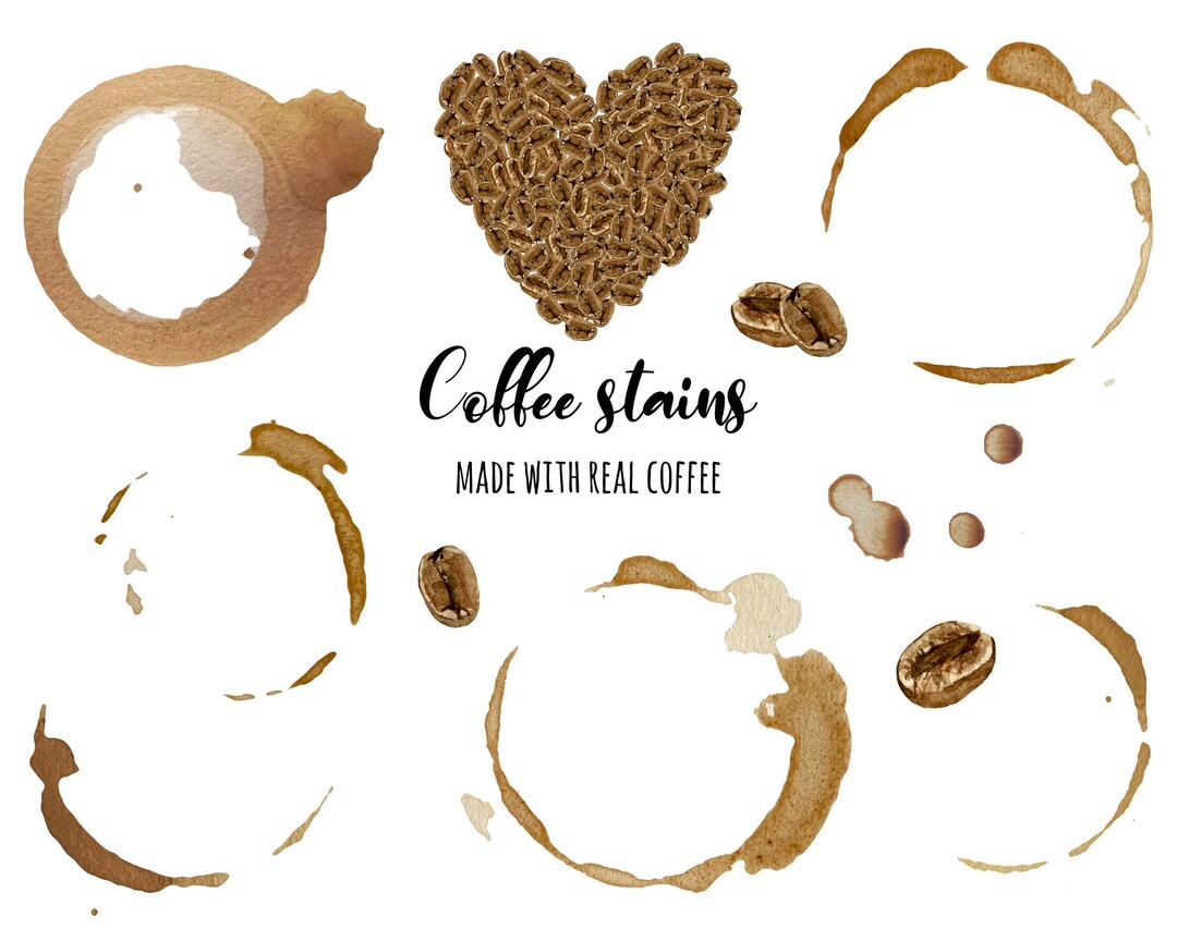 Coffee Stain Clipart, Real Coffee Rings and Beans. Watercolor Coffee Beans Clipart. 11 PNG ...