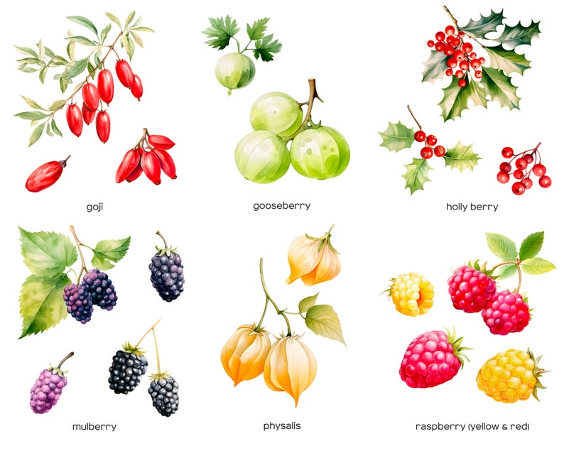 Watercolor Berries Clipart. Wild Berry Clip Art. Watercolor Strawberry ...