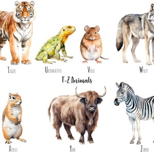 Watercolor Alphabet Animals Clipart: A-Z Zoo PNG (digital Download) - Etsy
