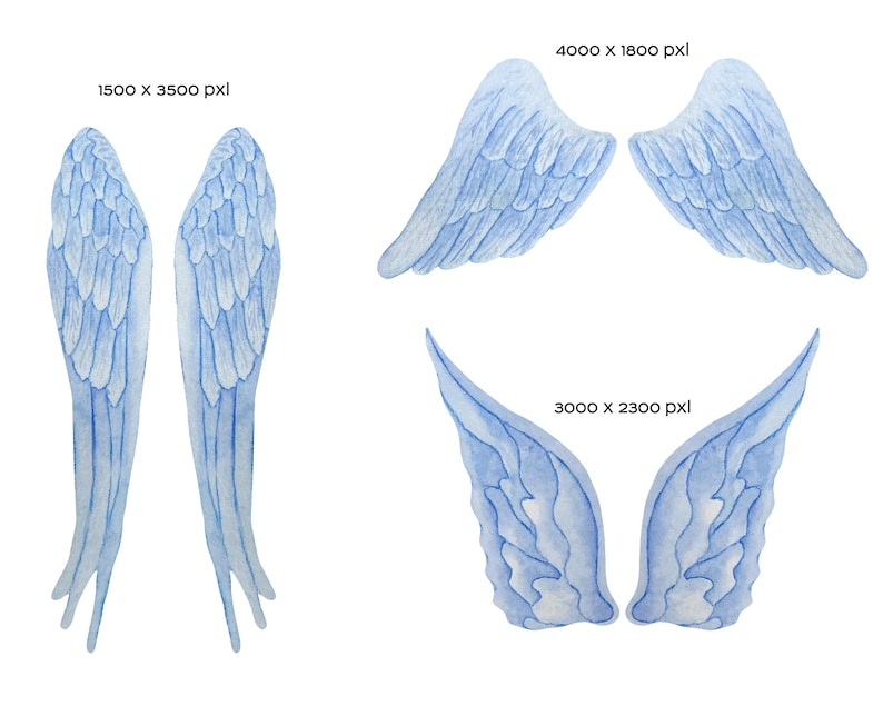 Watercolor Blue Angel Wings Clipart. 7 PNG Angel Wings Illustration ...