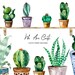 Watercolor Cactus Clipart: Potted Succulents PNG (digital Download) - Etsy