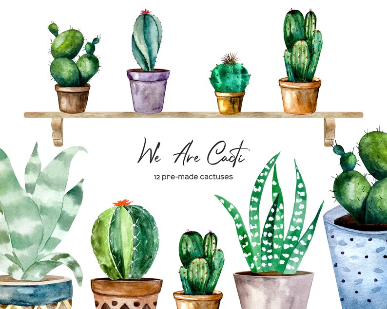 Watercolor Cactus Clipart: Potted Succulents PNG (digital Download) - Etsy