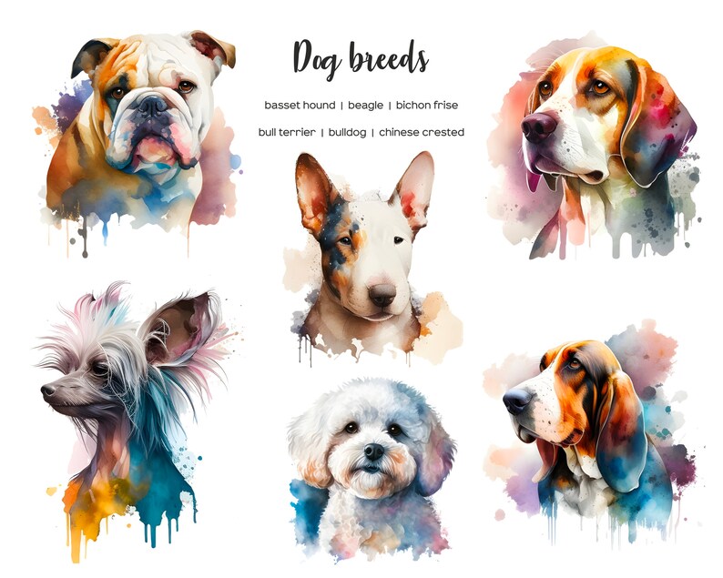 Watercolor Dog Breeds Clipart. Dogs Clip Art. Dog Types 35 PNG. Dog ...