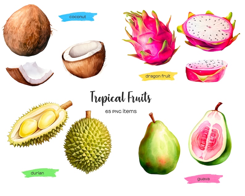 Watercolor Tropical Fruit Clipart: Exotic Food PNG Set (64 Items ...
