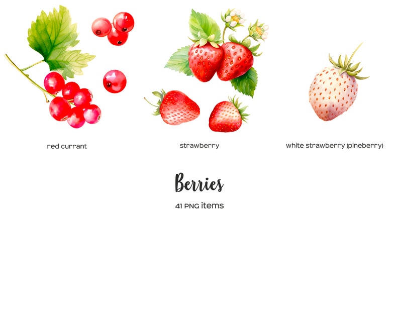 Watercolor Berries Clipart. Wild Berry Clip Art. Watercolor Strawberry ...